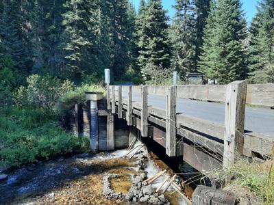 Artificially created dams create barriers to fish passage | Community ...