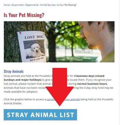 New webpage to help identify stray animals at the Pocatello Animal Shelter | Community ...