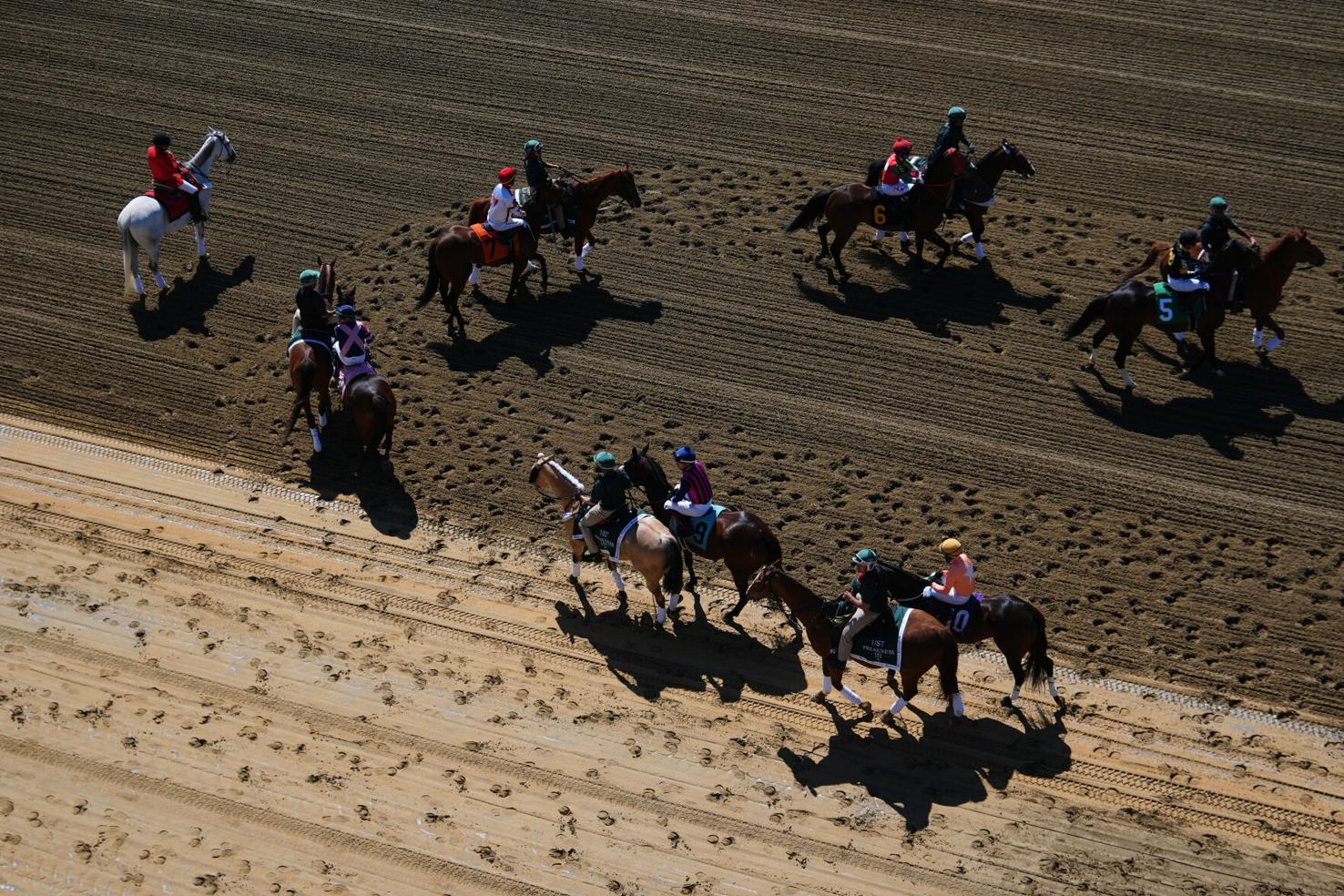 Preakness Horse Racing | National | idahostatejournal.com