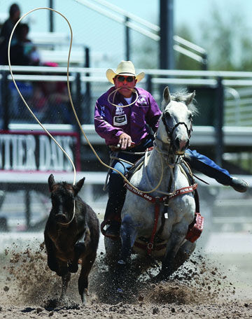 Still roping wins: Shiozawa remains in top 5 of pro rodeo circuit ...