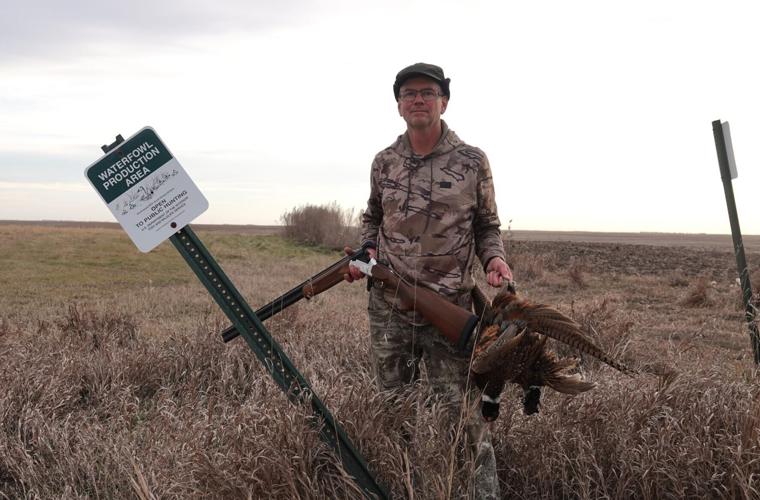 Options available when hunting pheasants | Hunting | idahostatejournal.com