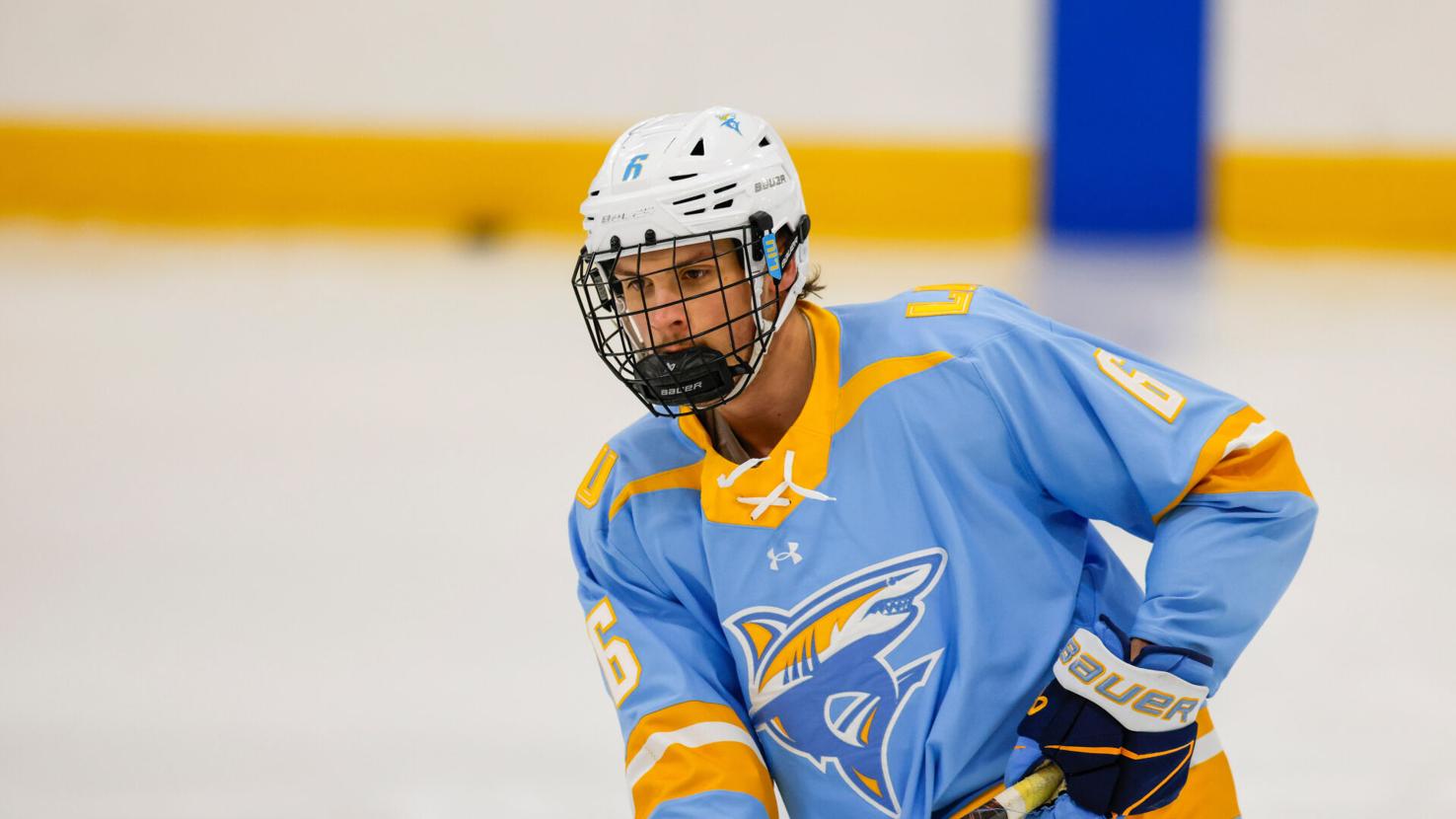 LIU Hockey | National | idahostatejournal.com