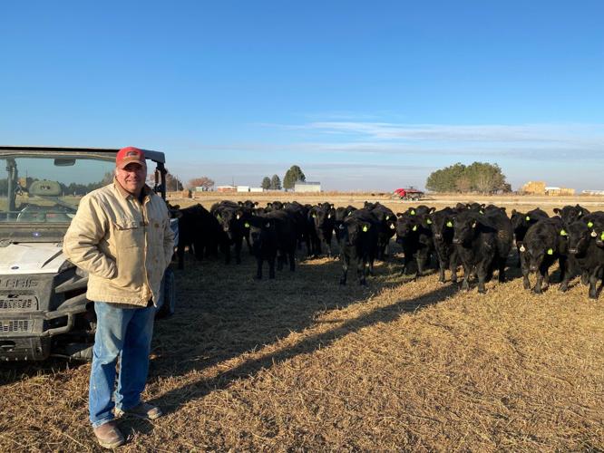 Ranching approach yielding more forage on less land | Local ...