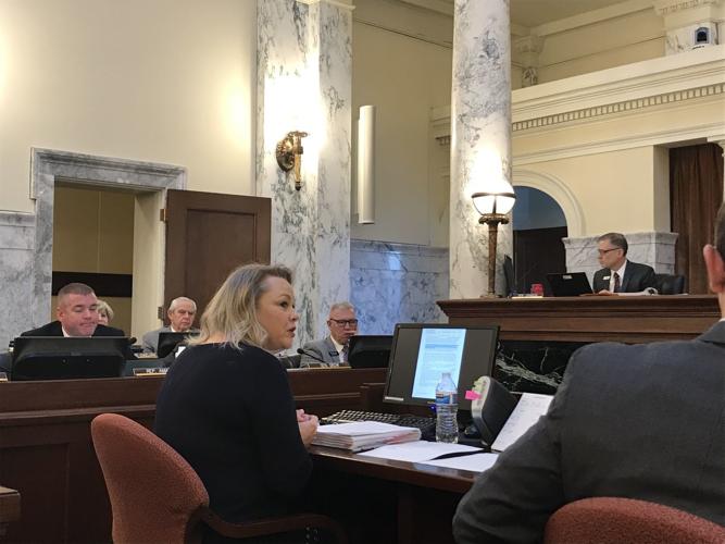 Medicaid expansion bringing savings for Idaho's courts | Local ...