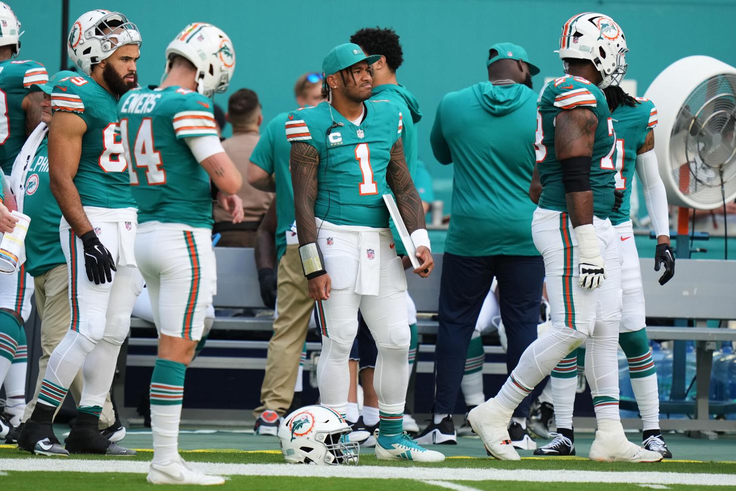 Bengals Dolphins Football | National | idahostatejournal.com