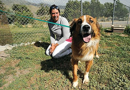 Dog reprieved: Vicious dog case settled when Balou goes to animal ...