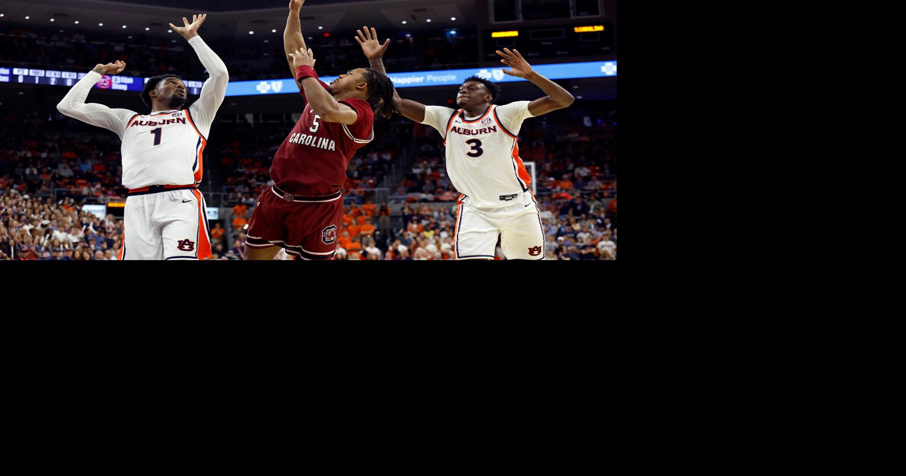 South Carolina Auburn Basketball | National | idahostatejournal.com