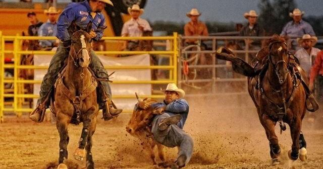 War Bonnet Rodeo returns with a Cash Cow and trick rider | Local ...