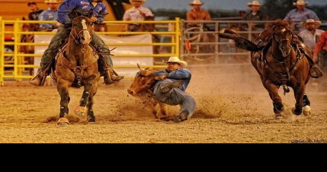 War Bonnet Rodeo returns with a Cash Cow and trick rider | Local ...
