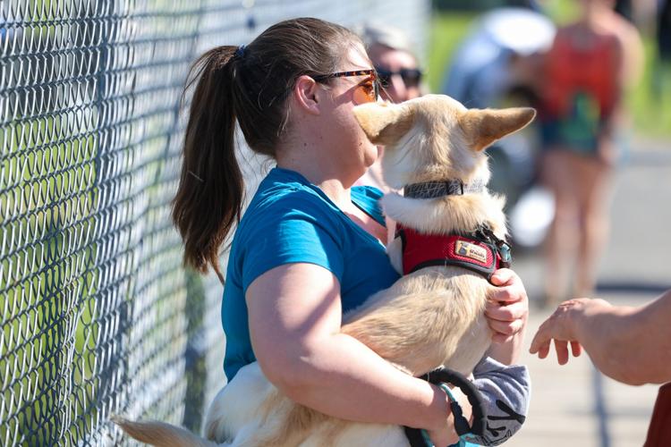 Photos of the annual Poky Paddle in the Portneuf River | Freeaccess ...