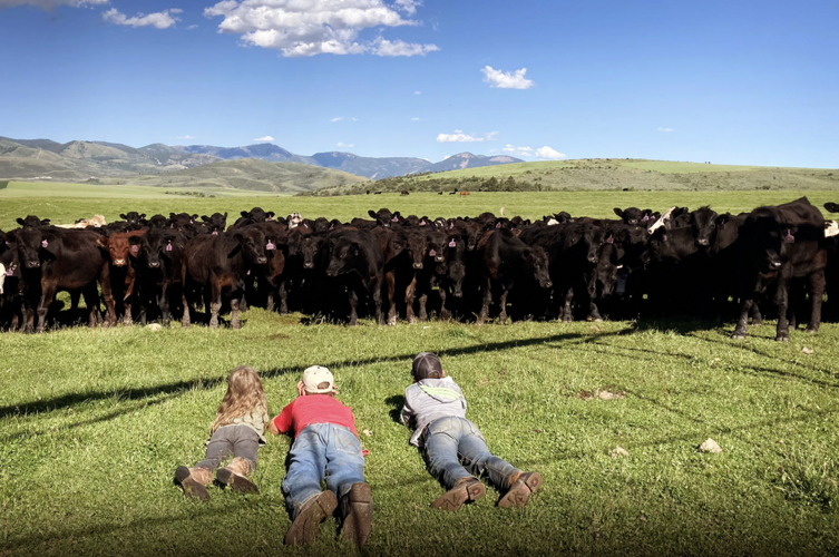 Harris family's Bar H Bar Ranch reaching fifth generation | Local ...