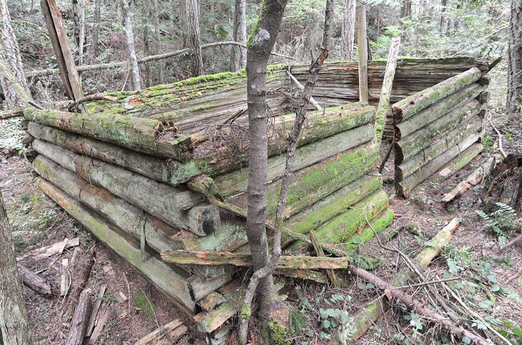 Tursi Trail continues to take shape | Northwest | idahostatejournal.com