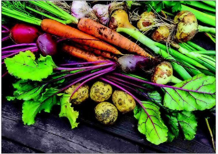 Growing Fall Vegetables | Food | idahostatejournal.com