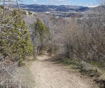 Pocatello Parks and Recreation Dept. seeks public input on proposed ...
