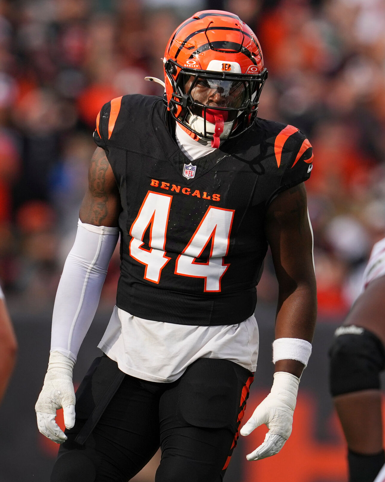 Cardinals Bengals Football | National | idahostatejournal.com