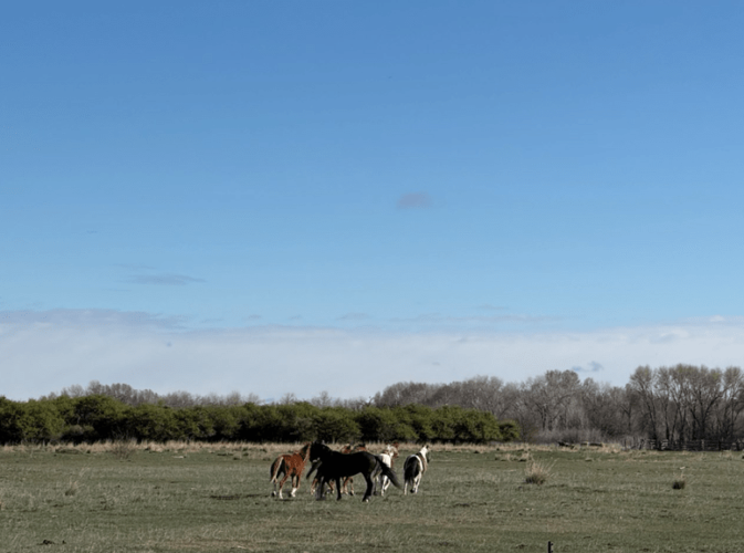 Earth Day: INL partnered with Shoshone-Bannock Tribes for celebration ...
