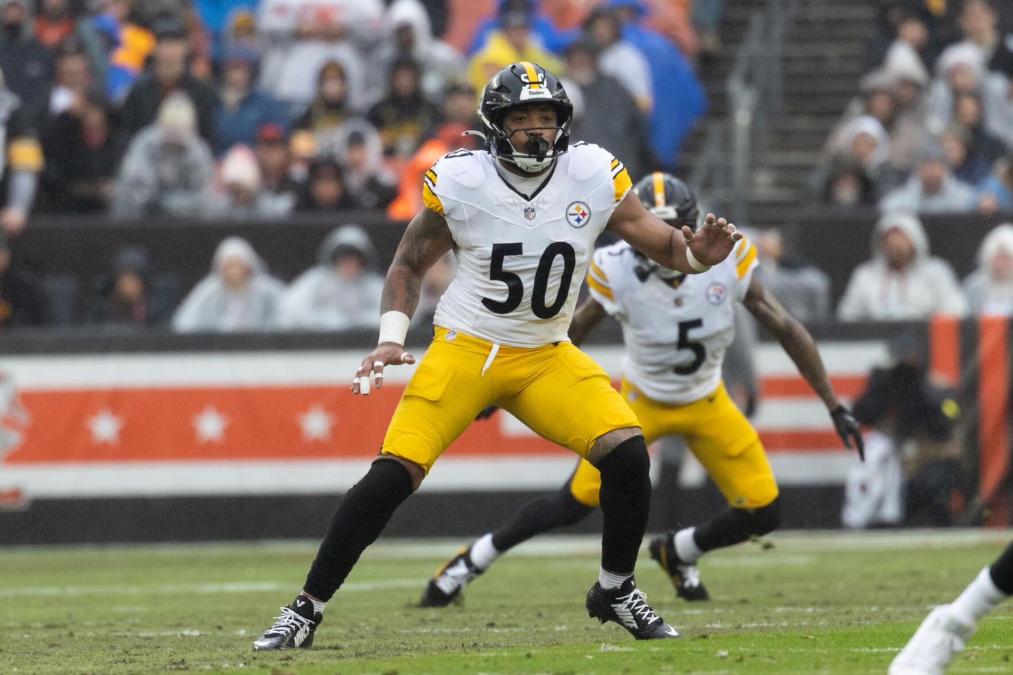 Steelers Browns Football | National | idahostatejournal.com