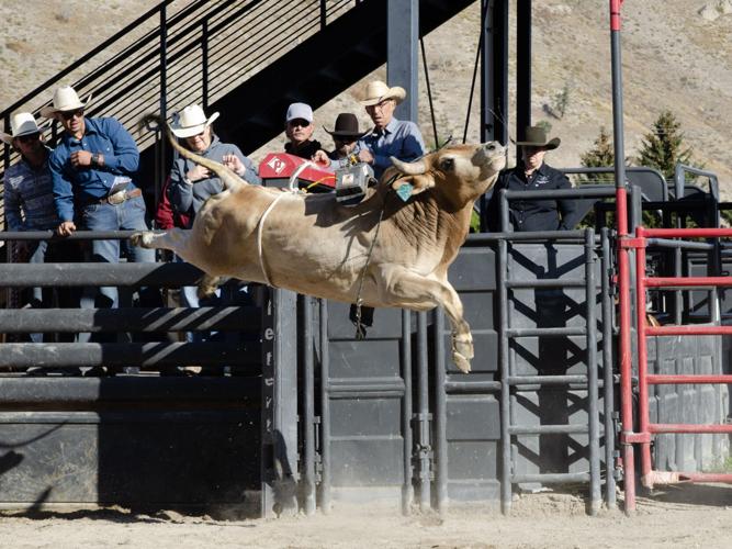 Local 67-year-old wins women’s bull bucking contest | News ...