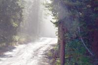 Ashton-Flagg Ranch Road offers an interesting ride | State ...