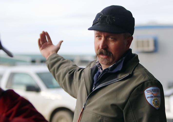 ISP's livestock brand inspectors track millions of cattle yearly ...