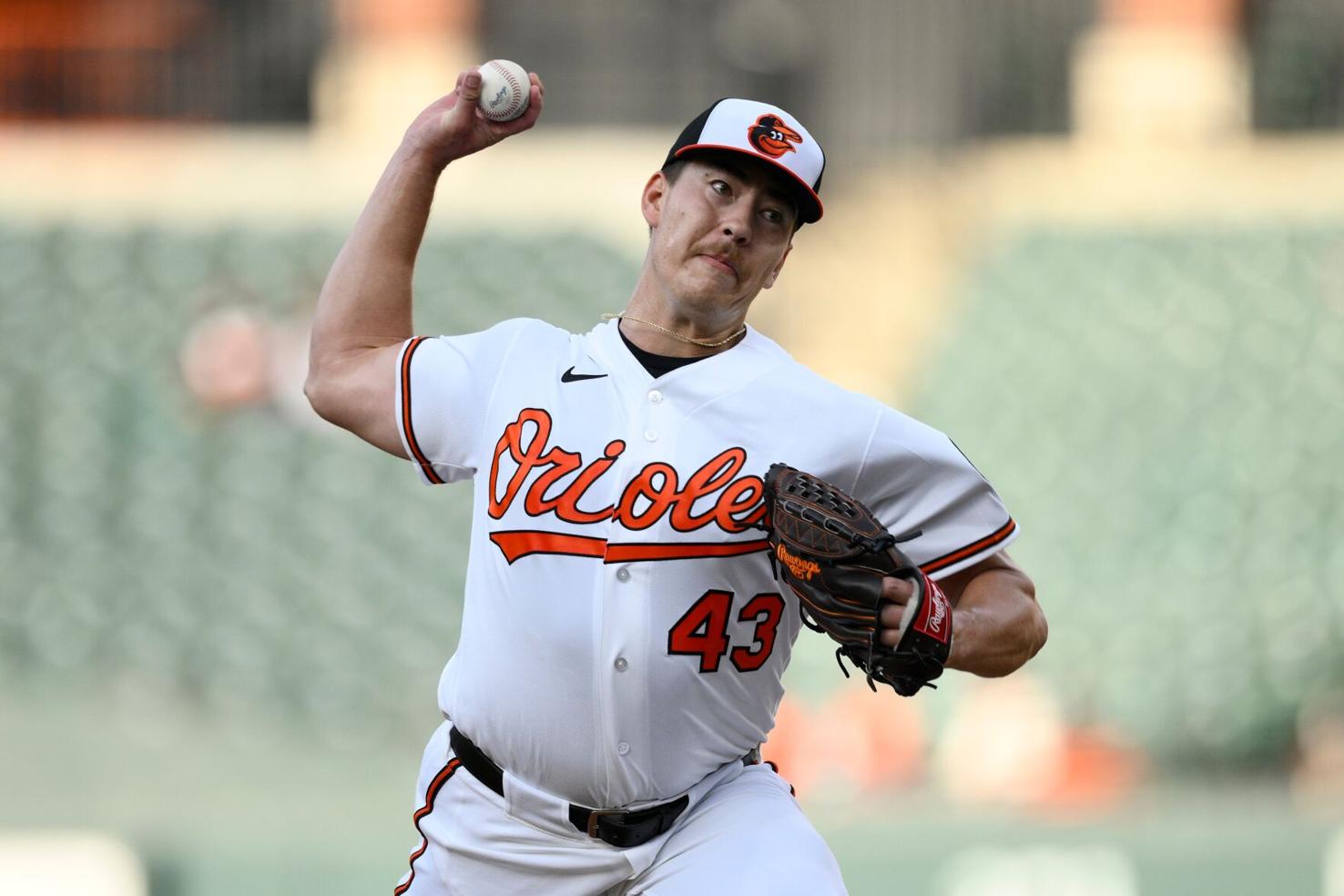 Rays Orioles Baseball | National | idahostatejournal.com