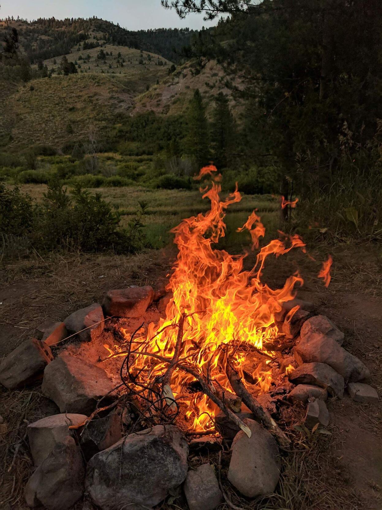 Outdoors: Morgan and the perfect campsite | Commentary ...