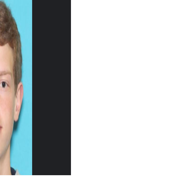 Father believes human remains found in car recovered from Snake River ...