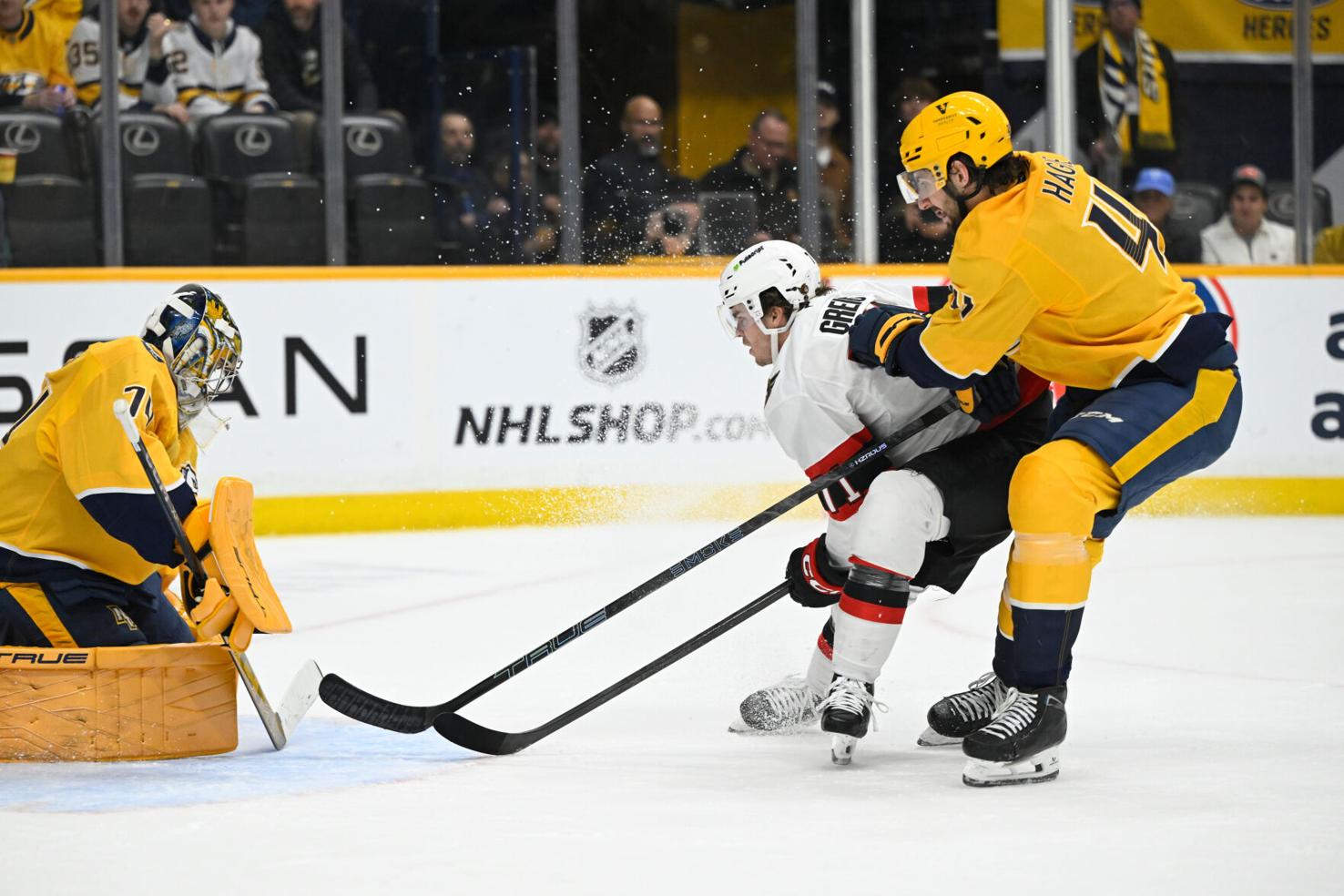 Senators Predators Hockey | National | idahostatejournal.com