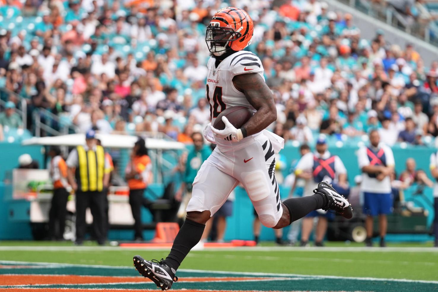 Bengals Dolphins Football | National | idahostatejournal.com