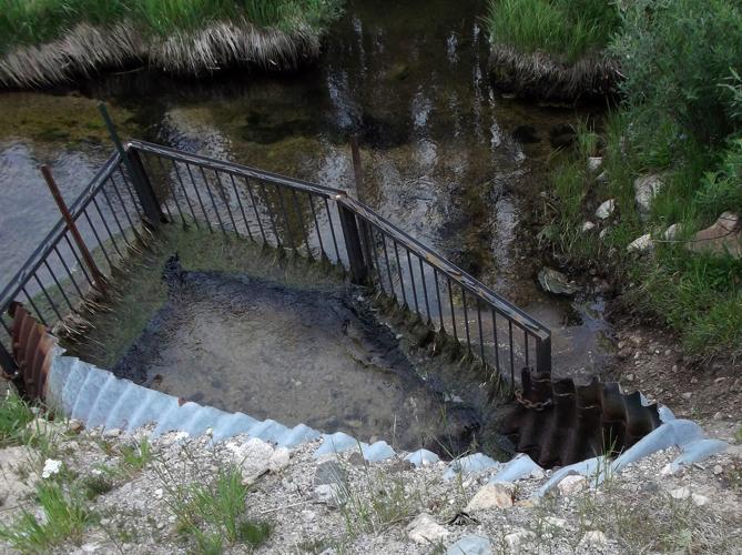 'Beaver stops' help road crews keep rodents at bay | Local ...