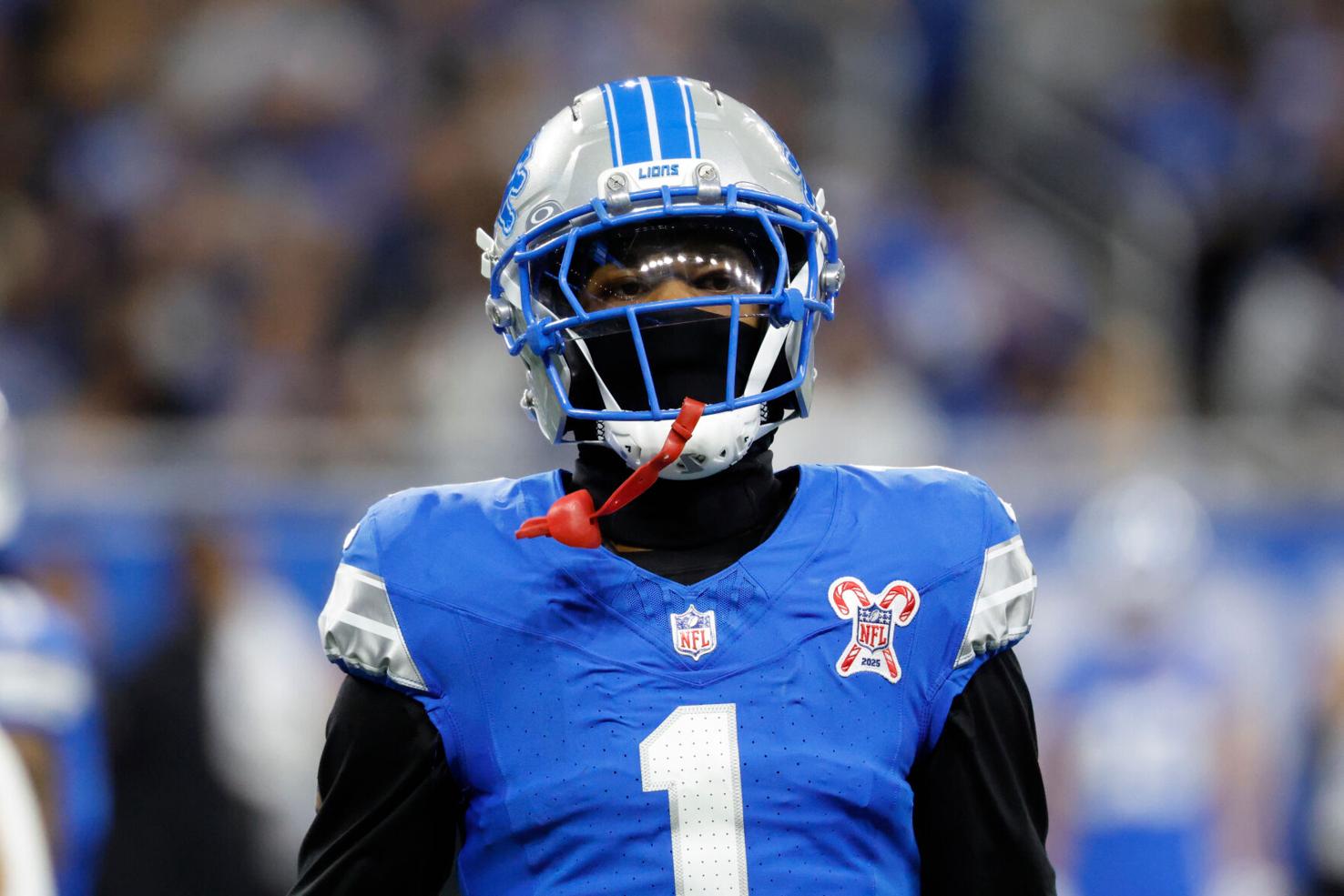 Steelers Lions Football | National | idahostatejournal.com