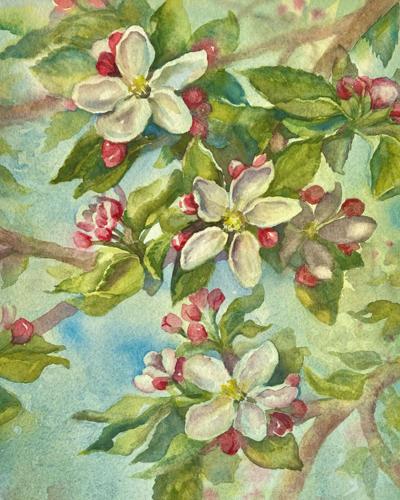 Pocatello Art Center offers beginning watercolor class taught by Cali ...