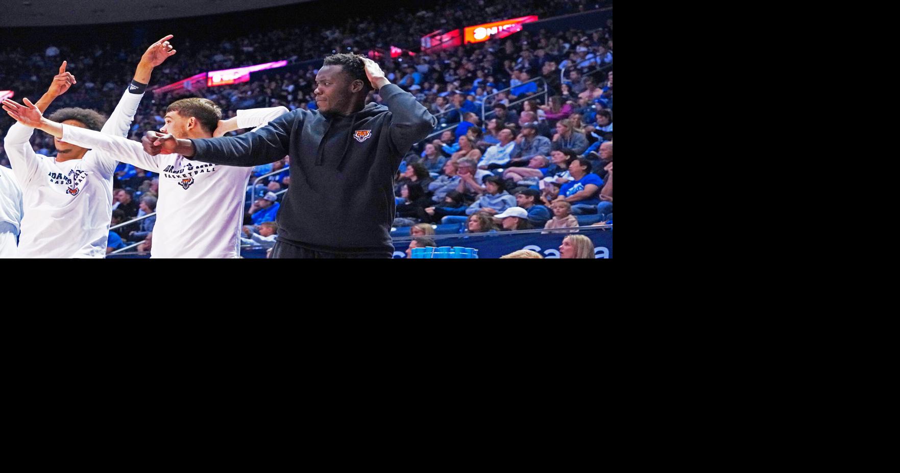 New Bengal Chang follows mysterious trail to Pocatello | Sports ...