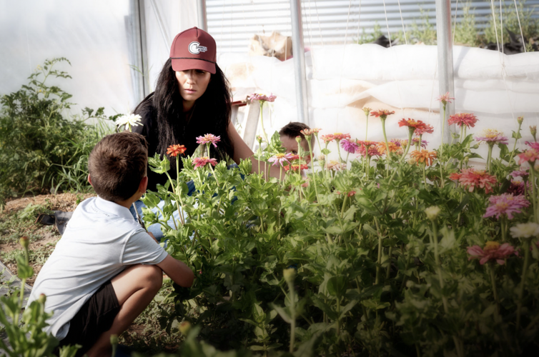Women like Soda Springs' Noel Cole are future of farming | Local ...