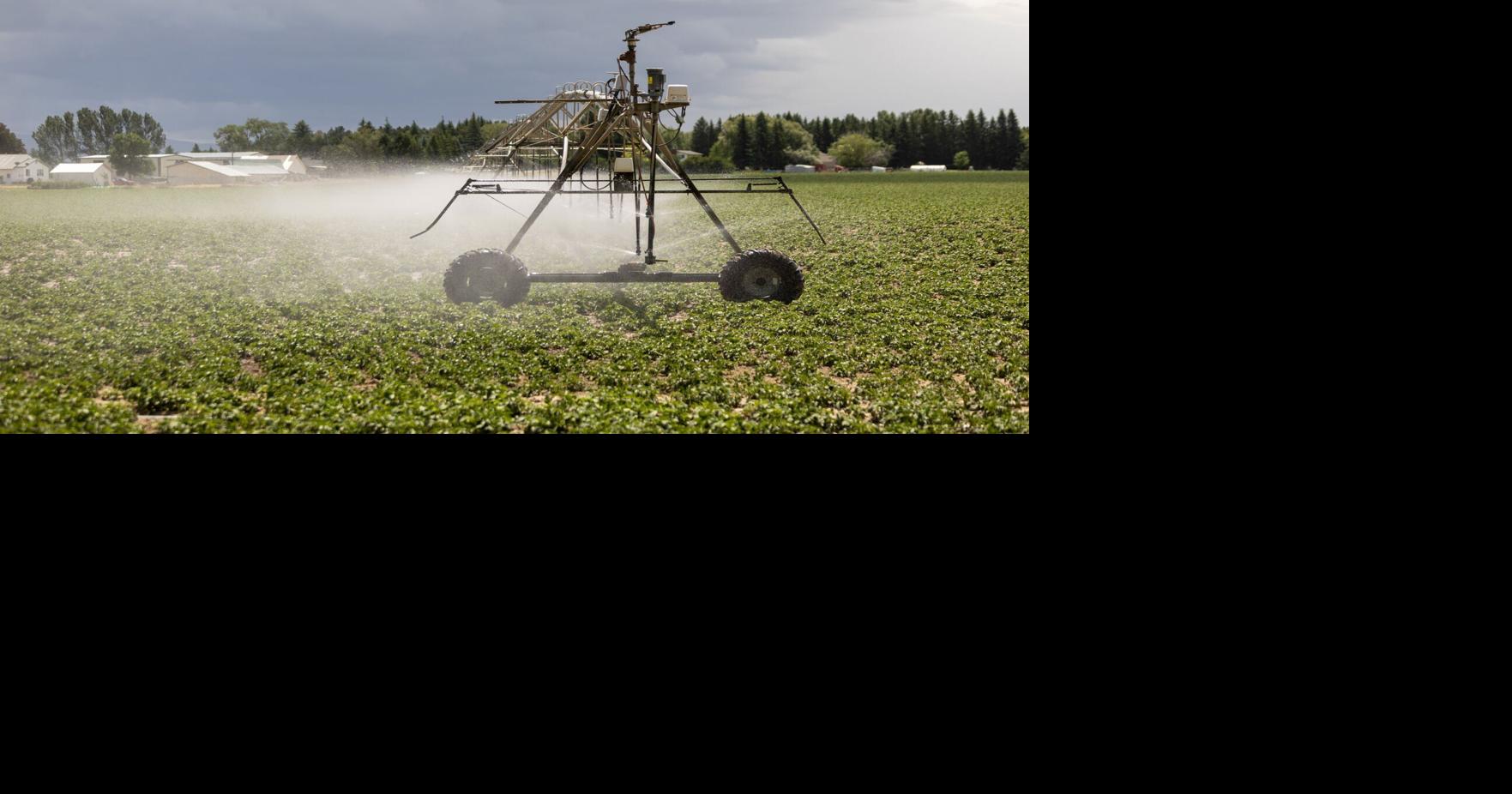 Water curtailment order lifted for East Idaho farmers | Freeaccess ...