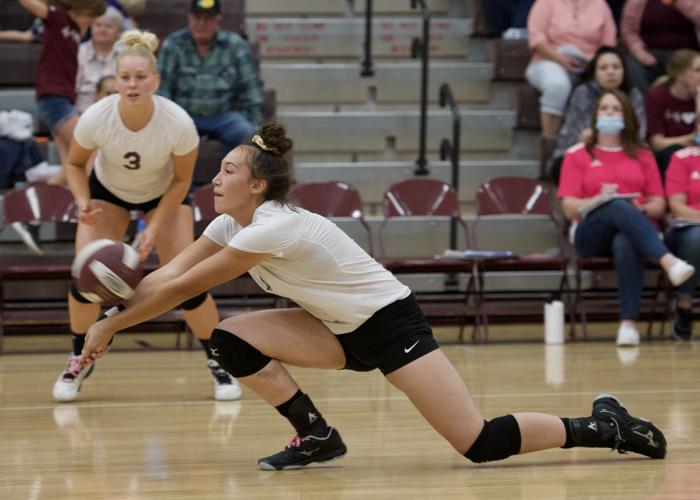 2020 All-Area Volleyball Teams | Preps | idahostatejournal.com