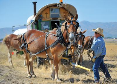 Wagon driver on years-long cross country crusade for Jesus | Members ...