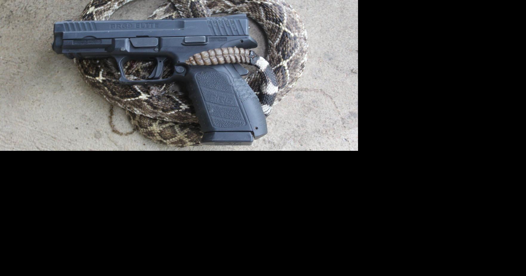 rattlesnake | Northwest | idahostatejournal.com
