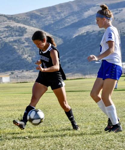 2021 All-Area Girls Soccer Teams | Preps | idahostatejournal.com