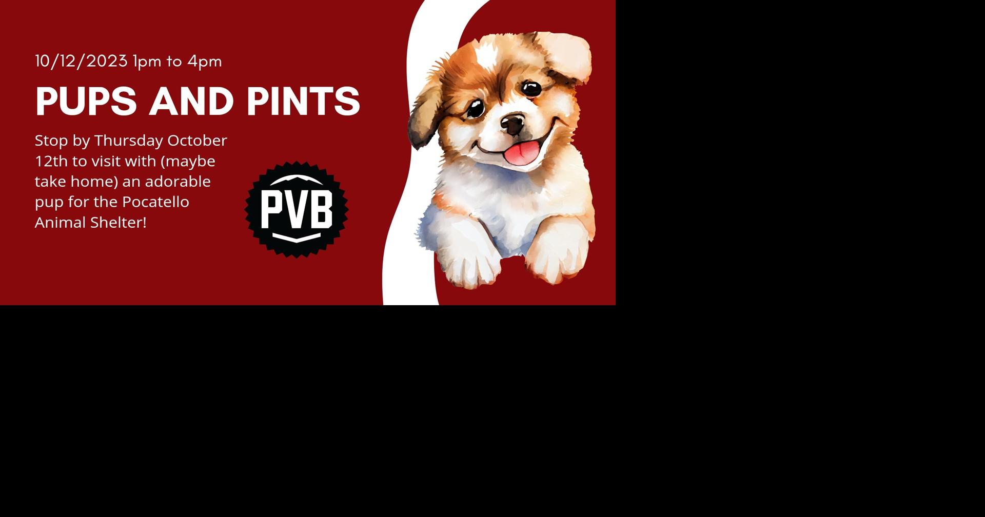 'Pups and Pints,' a heartwarming event featuring adorable pups up for ...