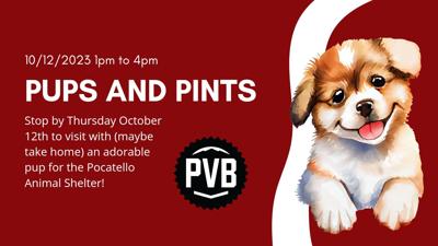 'Pups and Pints,' a heartwarming event featuring adorable pups up for ...