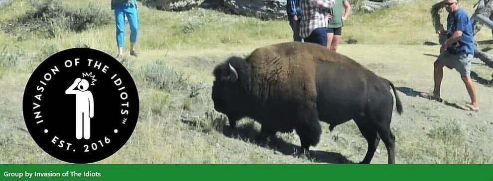 Facebook page tracks Yellowstone tourists' bad behavior | Northwest ...