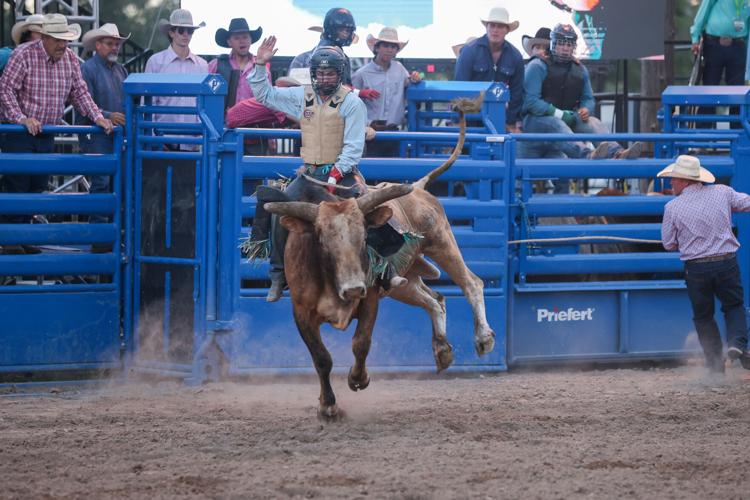 Photos of the Bull Riding Championships at Eastern Idaho State Fair ...