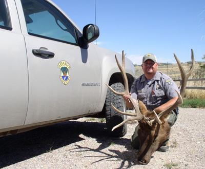 Idaho Fish and Game officers solve elk poaching case | Local ...
