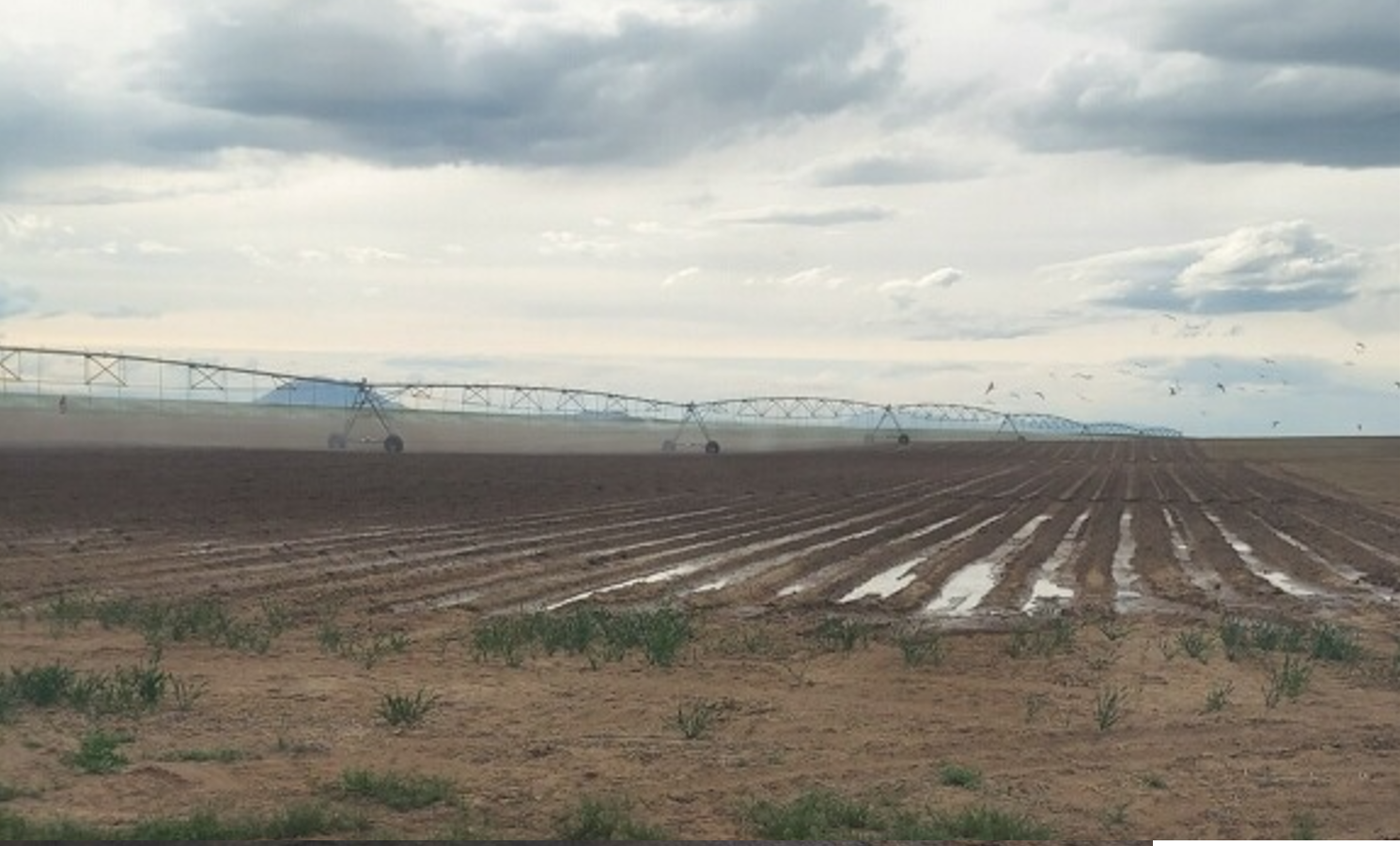 Court accepts settlement in Bingham water rights case, but $21K civil ...