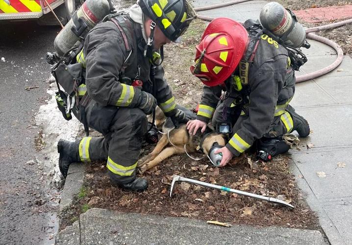 ‘Those guys are my heroes’: Man recounts how firefighters resuscitated ...