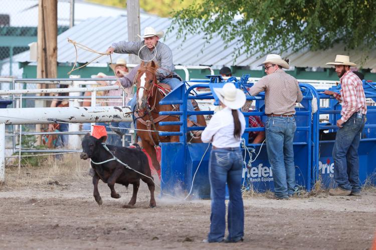 Photos of the Marsh Valley Pioneer Day Rodeo in McCammon | Local ...