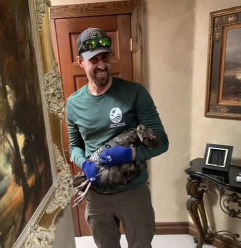 Turkey plows through window of Spokane home | Local | idahostatejournal.com