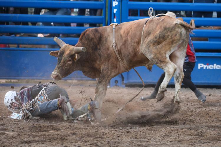 Photos of the Bull Riding Championships at Eastern Idaho State Fair ...