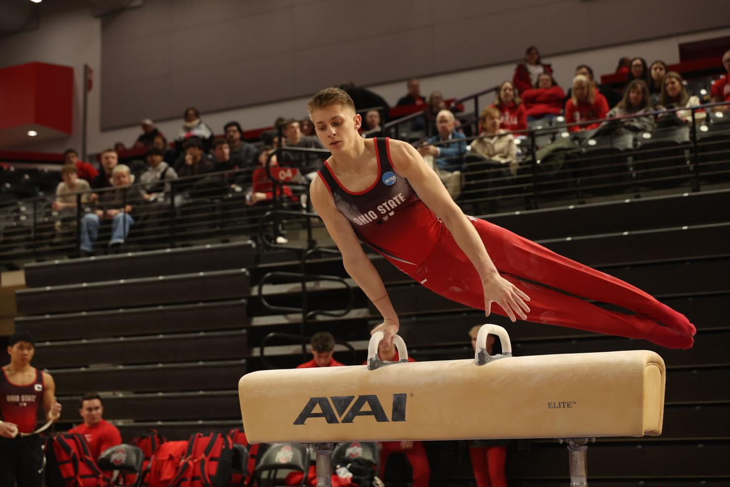 Illinois Ohio St Gymnastics | National | idahostatejournal.com
